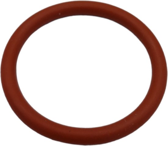 Delonghi O-Ring Afdichtingsrubber 43mm | bol