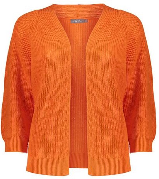 Cardigan Orange [M] | bol.com