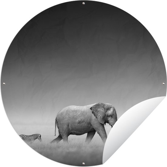 Tuincirkel Olifant - Dieren - Landschap - Zwart wit - zebra - 150x150 ...