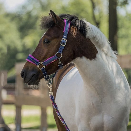 Red Horse - Halster Set - Hot Pink - Maat Pony | bol.com