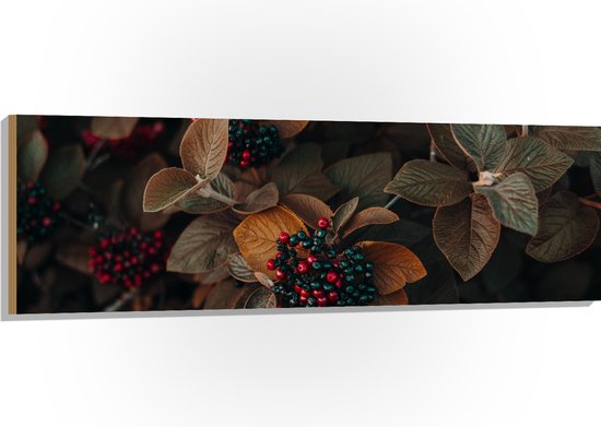 Hout - Kleine Rode en Paarse Besjes in Struik - 150x50 cm - 9 mm dik ...