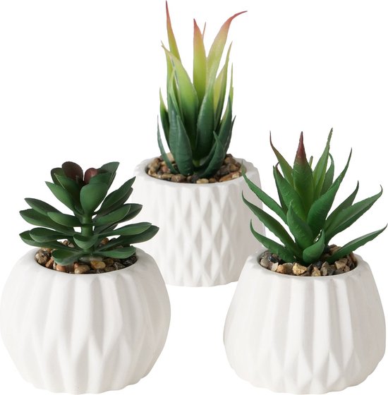 Boltze Home Kunstplant vetplant in stenen pot wit H15cm B7cm | bol