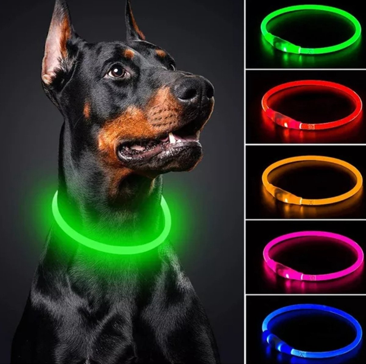JN Groene LED Halsband voor honden Medium - Groen verlichte halsband ...