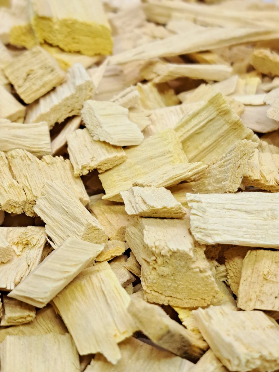 Bitterhout stukjes(Picraena excelsa) ook bekend als Bita of Kwasi bita ...