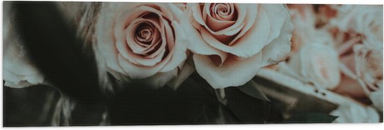 Vlag - Twee Rozen boven Kistje Vol Rozen - 90x30 cm Foto op Polyester ...