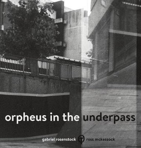 Orpheus in the Underpass, Gabriel Rosenstock | 9781912111701 | Boeken ...