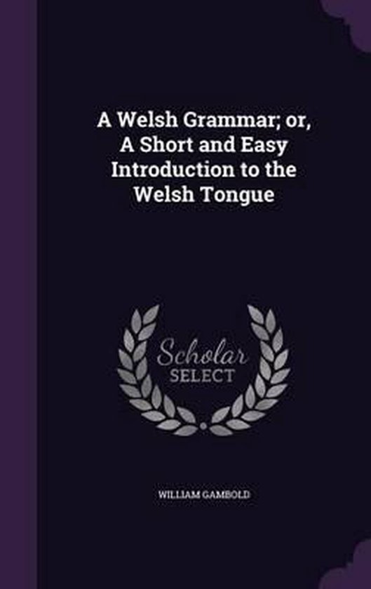 A Welsh Grammar; Or, a Short and Easy Introduction to the Welsh Tongue ...
