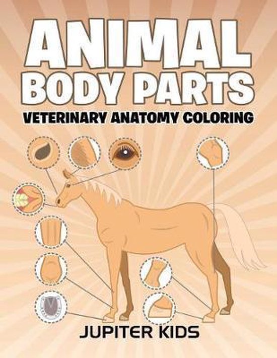 Animal Body Parts | 9781683051275 | Jupiter Kids | Boeken | bol
