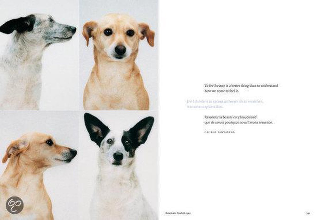 A Thousand Dogs, Raymond Merritt | 9783836505048 | Boeken | bol