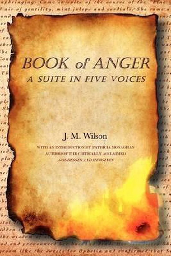 Book of Anger | 9781469137629 | J M Wilson | Boeken | bol