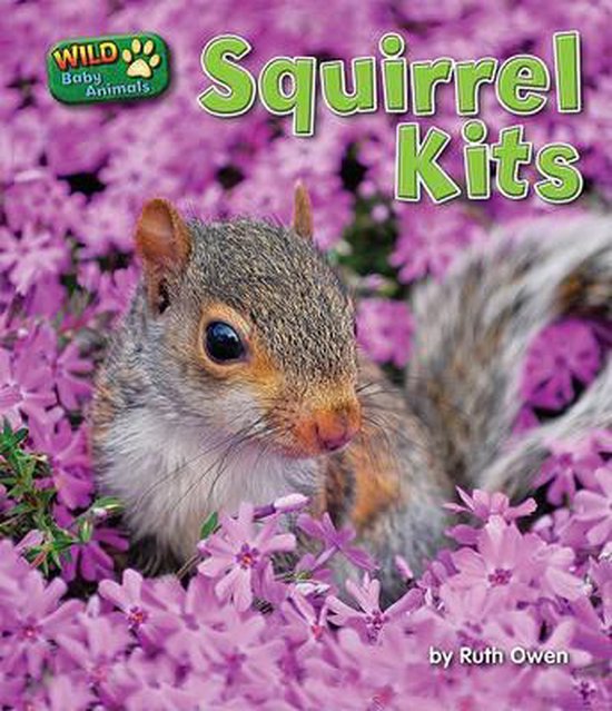 Squirrel Kits | 9781617721601 | Ruth Owen | Boeken | bol