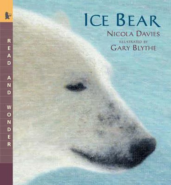 Ice Bear, Nicola Davies | 9781406302059 | Boeken | bol