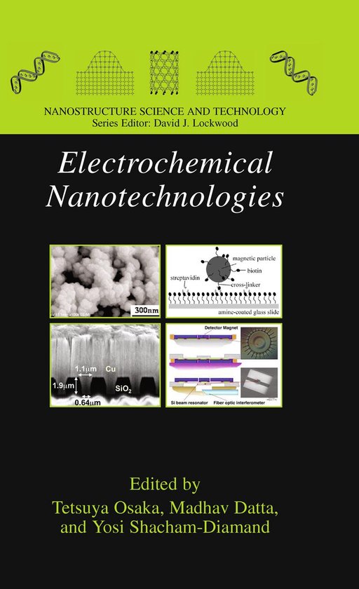 Nanostructure Science and Technology - Electrochemical Nanotechnologies (ebook) |... | bol.com