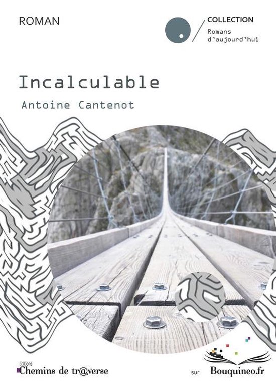 Incalculable (ebook), Antoine Cantenot | 9782313004630 | Boeken | bol.com