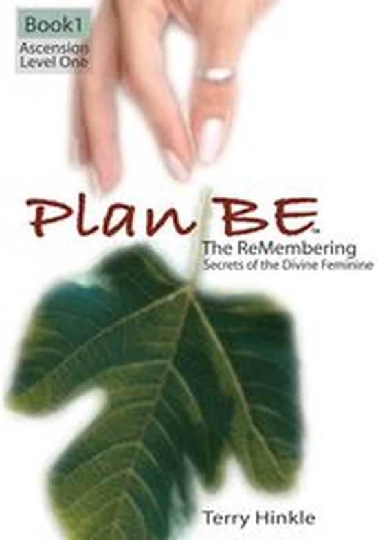 Plan Be (ebook), Terry Hinkle | 9781467838153 | Boeken | bol
