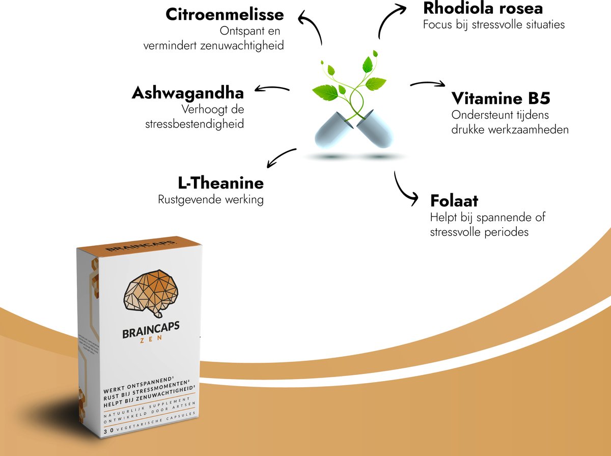 Braincaps Zen - Ontspannend & Rustgevend - 100% natuurlijk - 30 ...