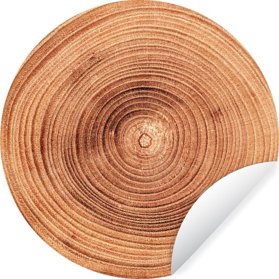 WallCircle - Muurstickers - Behangcirkel - Een close up van de ...