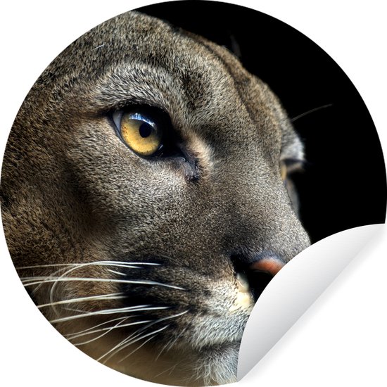 WallCircle - Muurstickers - Behangcirkel - Poema - Ogen - Zwart - 100x100 cm -... | bol