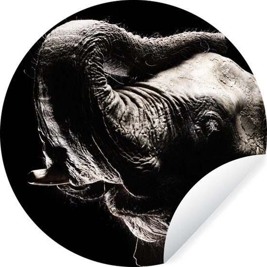 WallCircle - Muurstickers - Behangcirkel - Olifant - Zwart - Dieren - Portret -... | bol