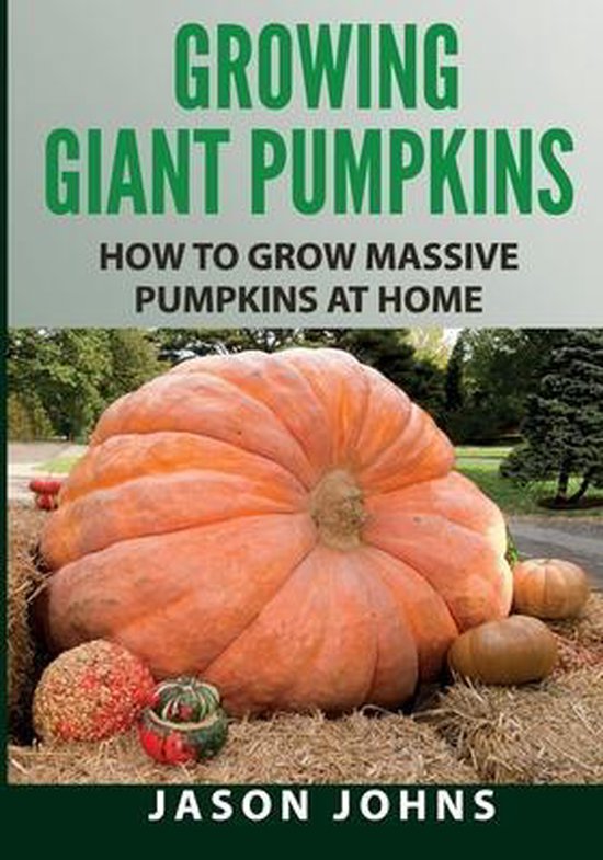 Growing Giant Pumpkins How To Grow Massive Pumpkins At Hom Jason