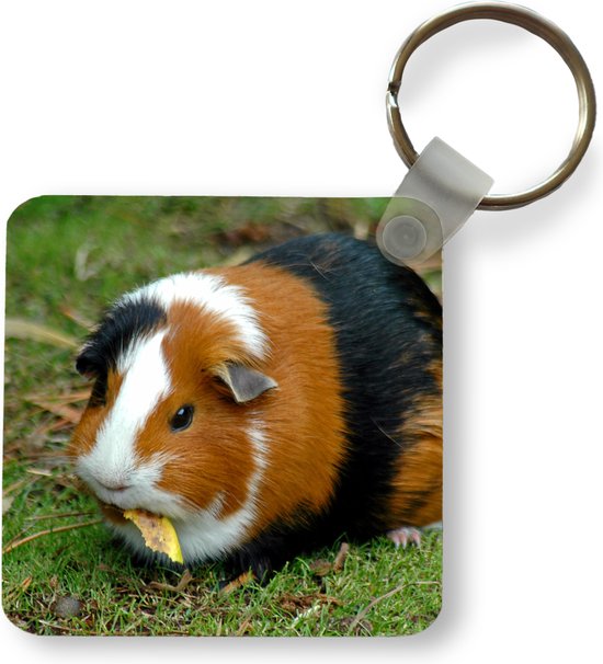Sleutelhanger - Cavia buiten - Plastic - Rond - Uitdeelcadeautjes | bol