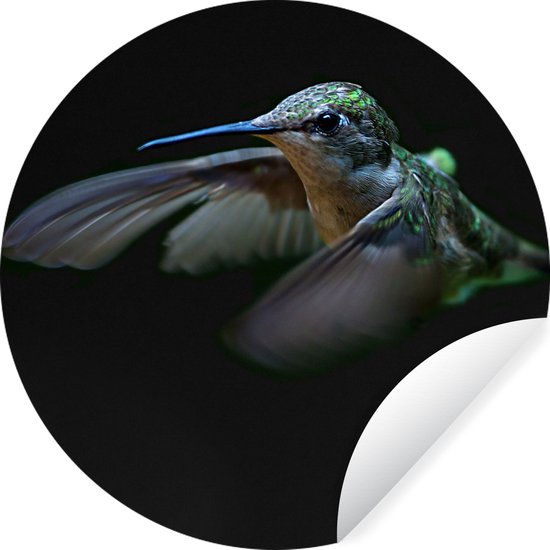 WallCircle - Muurstickers - Behangcirkel - Kolibrie - Vogel - Veren - Zwart - 100x100... | bol.com