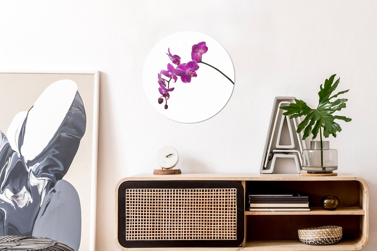 WallCircle - Muurstickers - Behangcirkel - Orchidee tegen witte achtergrond - 30x30 cm... | bol.com
