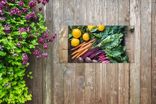 Poster de jardin Légumes - Fruits - Caisse en bois - 80x40 cm ...