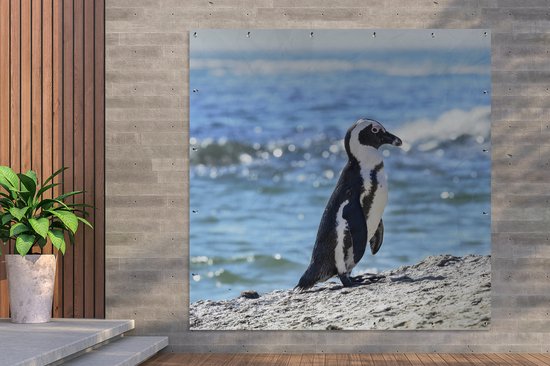 Affiche de Jardin Pingouin sur l'eau à Boulders Beach - 200x200 cm ...