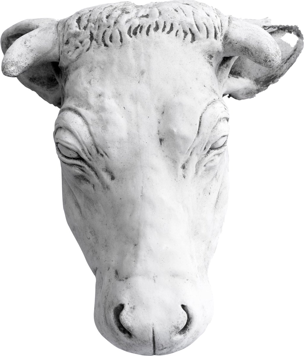 Tuinbeeld koeienkop (Wit/gepattineerd)- Hoogwaardig kwaliteit- Perfect ...