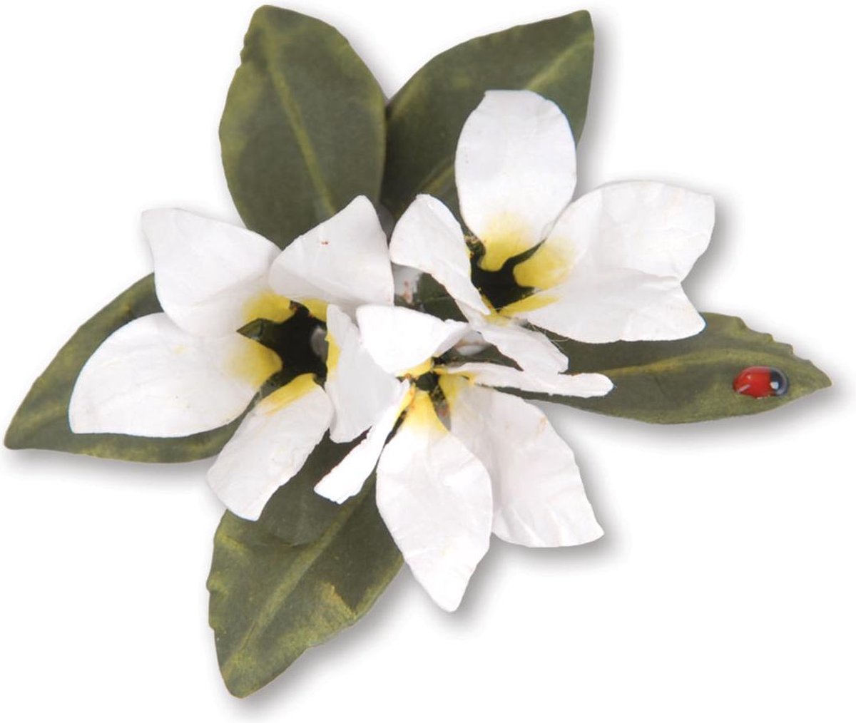 Sizzix Thinlits Snijmal Set - Flower Stephonotis - 8 stuks | bol.com