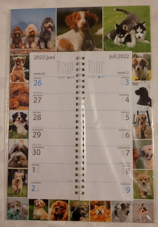 LIBOZA - Weekkalender 2022 - Honden - Indeling Twee Weken - Met Eco Pen ...