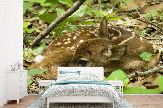 Behang - Fotobehang Hert - Struiken - Slapen - Breedte 330 cm x hoogte ...