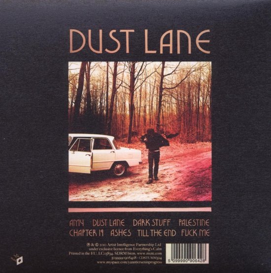 Yann Tiersen - Dust Lane (CD), Yann Tiersen | Muziek | bol