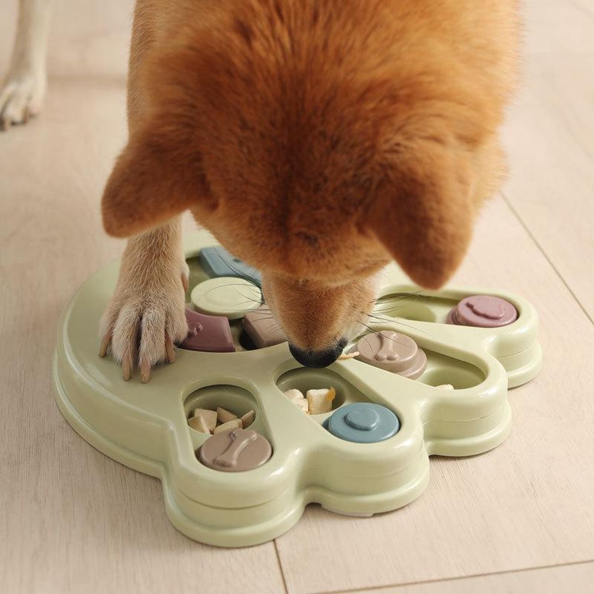 Honden Puzzel – Honden Trainer – Speelgoed voor de Hond – Interactief ...