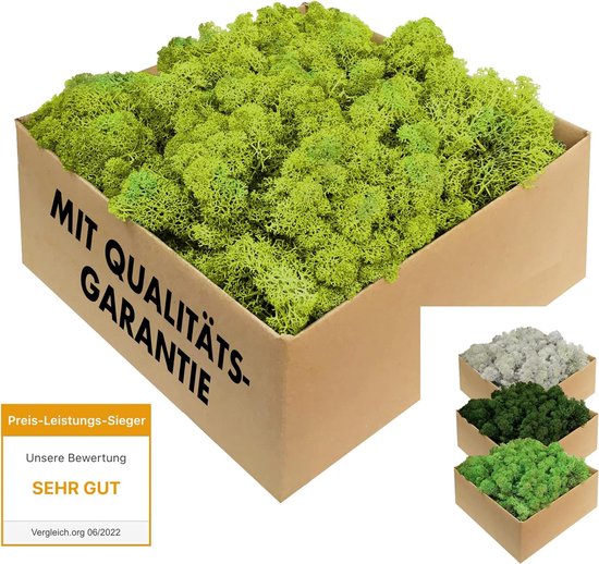 Geconserveerd, natuurlijk mos (IJslands mos) om mee te knutselen ...