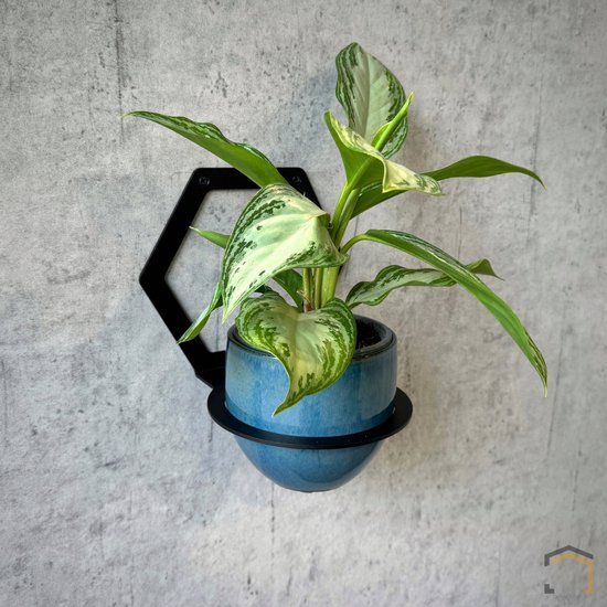 Enkel Zeskant Plantdrager – 3 mm Staal | Matzwart | Industrieel Design ...