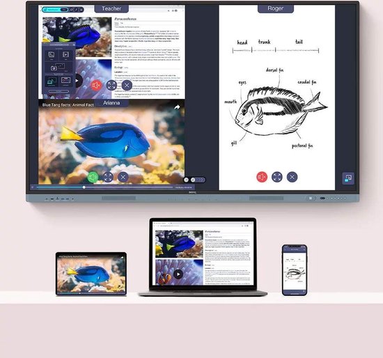 BenQ RM7504 interactive whiteboard - Projectiescherm - 190,5 cm (75 ...