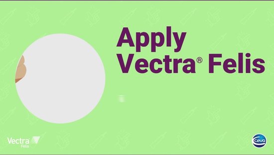 Vectra Felis Vlooiendruppels - Voor katten 0.6 t/m 10 kg - Tegen ...