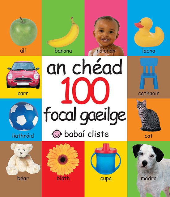 Chead 100 Focal Gaeilge | 9780717146260 | Heather Amery | Boeken | bol