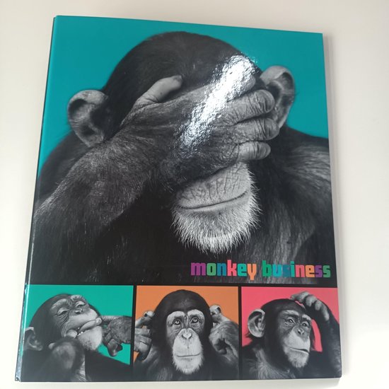 Monkey Business Ringband Ringmap Klapper 23-rings Aap Chimpansee Lannoo ...