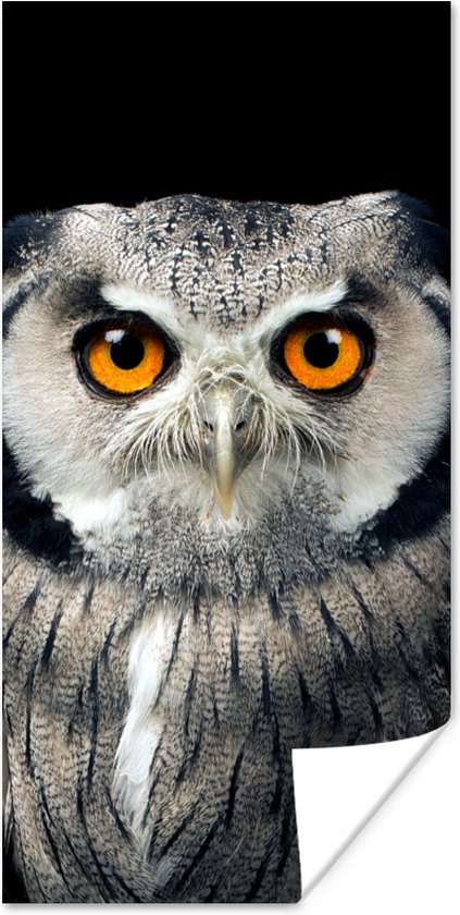 Poster Uil - Vogel - Oranje - Zwart - 60x120 cm | bol