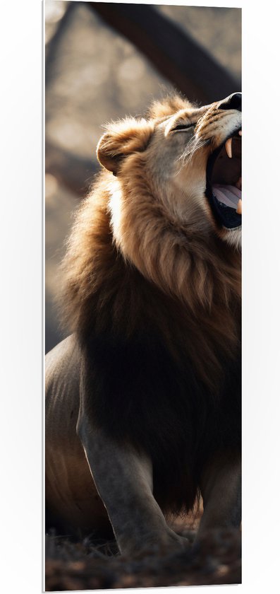 PVC Schuimplaat- Brullende Leeuw onder Bomen in het Bos - 40x120 cm Foto op PVC... | bol