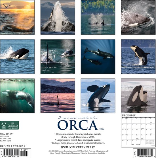 Orca (Journey with The) 2024 12 X 12 Wall Calendar, Willow Creek | 9781549234750 | Boeken | bol