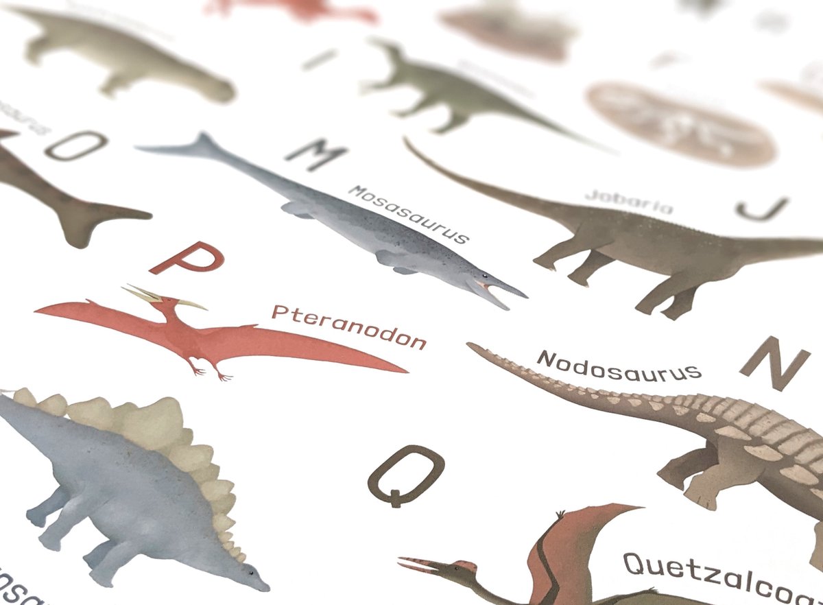 Dinosaurus Alfabet Poster 40x60 cm - Kinderkamer ABC Dinosaurus ...