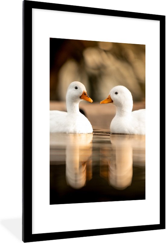 Poster - Fotolijst - Eend - Wit - Dieren - Water - 60x90 cm - Poster ...