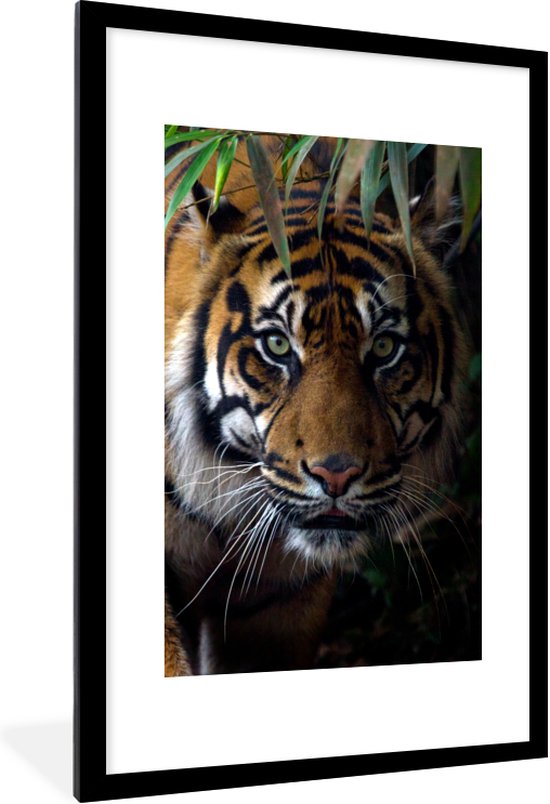 Fotolijst incl. Poster - Tijger - Bladeren - Jungle - Dieren - Wild - 60x90 cm -... | bol