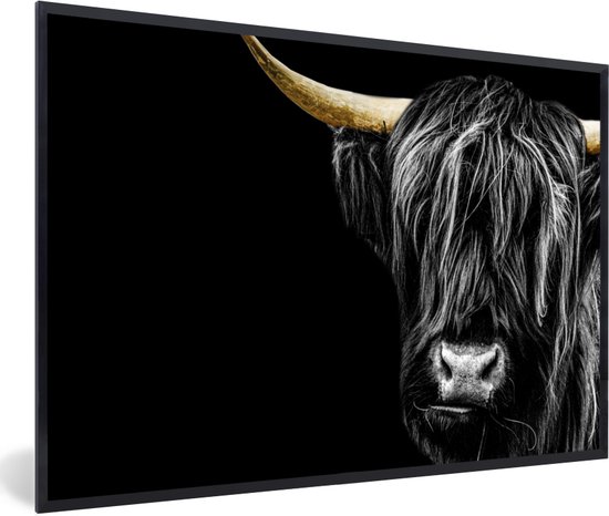 Fotolijst incl. Poster - Schotse hooglander - Goud - Vacht - Dieren - Koe - 60x40 cm -... | bol