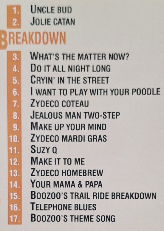 Boozoo's Breakdown, Boozoo Chavis | Muziek | bol