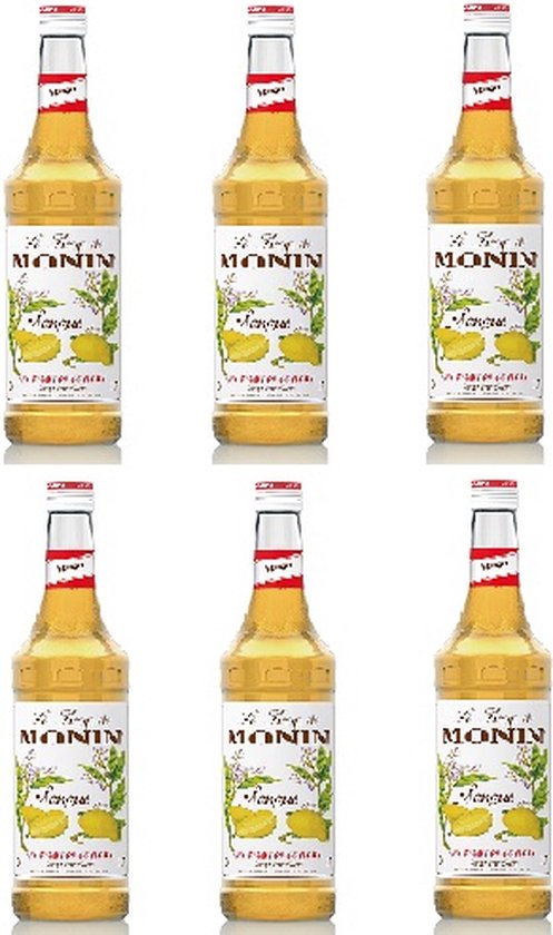 Monin Siroop mango professioneel, fles 6X700 ml | bol.com